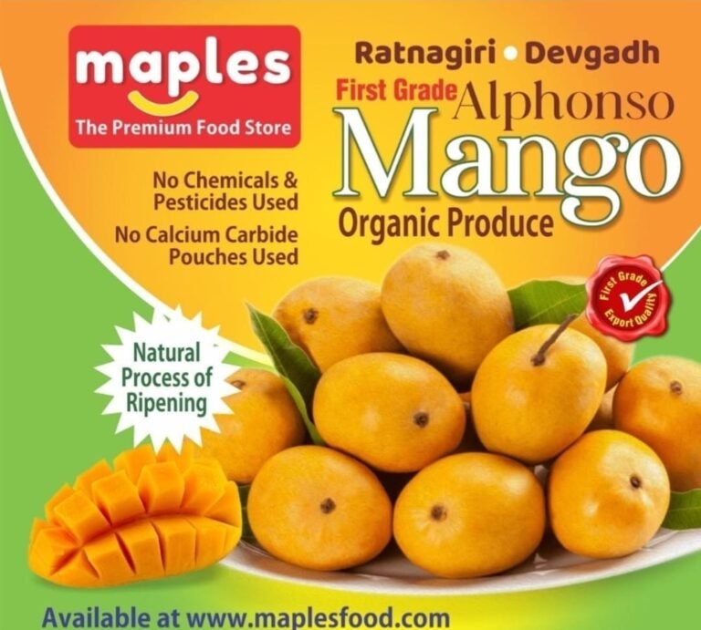 ALPHONSO MANGO 1 DOZEN(12pcs) - Buy Frozen Foods Vadodara, Imported ...
